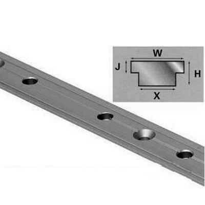 Barton 'T' Track 20 mm 2.4 Metre 22040 j160224