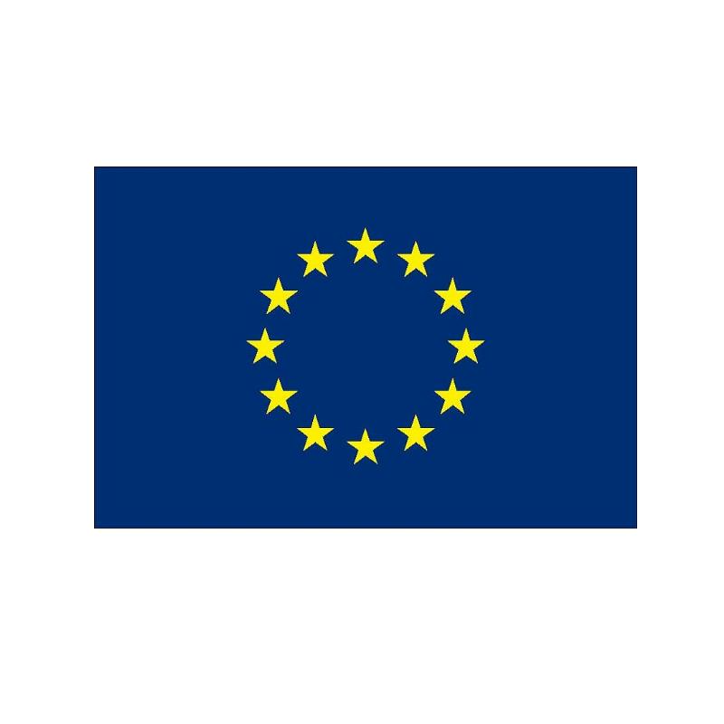 Courtesy Flag for EU 30cm x 45cm 42221 j160224